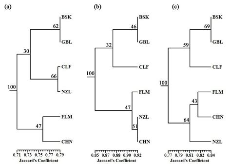 Upgma Dendrogram Analysis Of Six Rabbit Breeds Based On A Rapd B