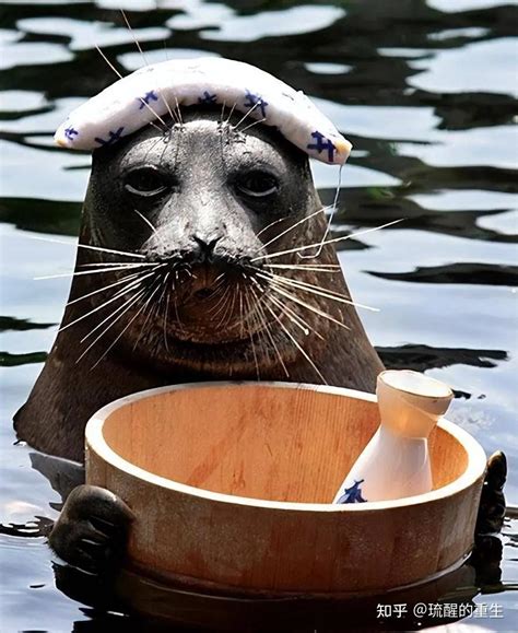 贝加尔湖距海洋2千公里淡水资源占全球20 为何却有海洋生物 知乎