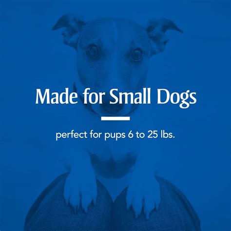 Petarmor 7 Way De Wormer For Dogs Oral Treatment For