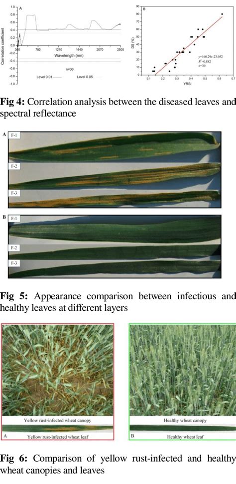 Comparison Of Spectral Responses Among Different Layers Download