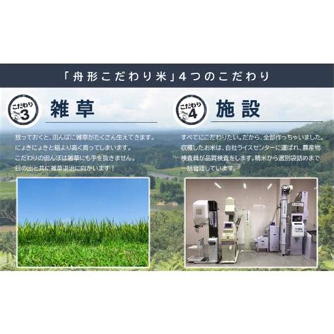 ふるさと納税 米 はえぬき 山形県 舟形町 無洗米 はえぬき10kg（5kg×2袋） 令和6年産米 ふるさとチョイス 通販