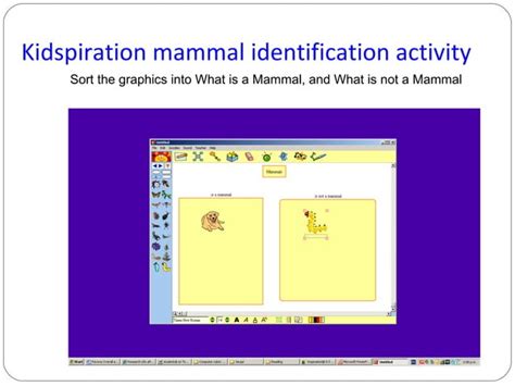 Mammals Ppt