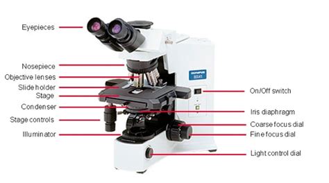 Microscope Diaphragm Function