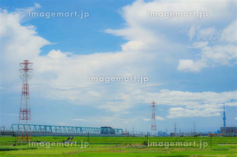 松戸市矢切の田園風景の写真素材 209154051 イメージマート