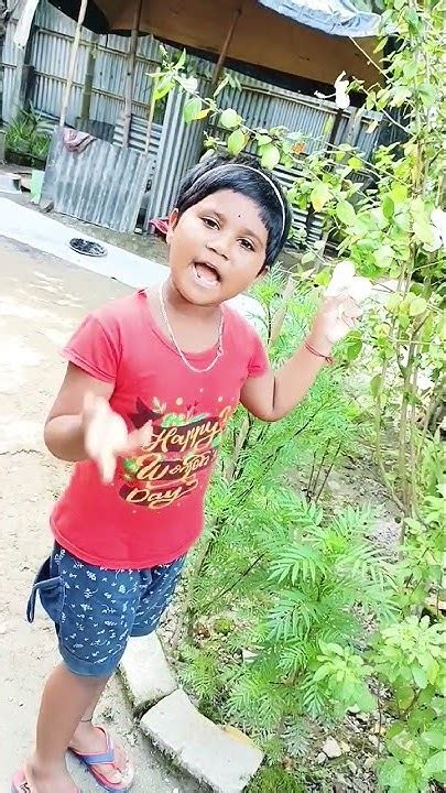 Shorts Youtubeshorts মিস্টু দেখে ছিলো লাল আর হলুদ 😀😜🤪🤣🤣 Youtube