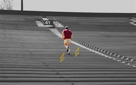 What Are Calf Muscle Genetics Good Vs Bad Calf Genetics