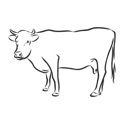 Cow Outline Clip Art
