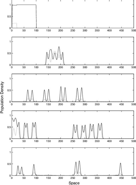 1d Density Of Prey Solid Curve And Predator Dotted Curve Calculated