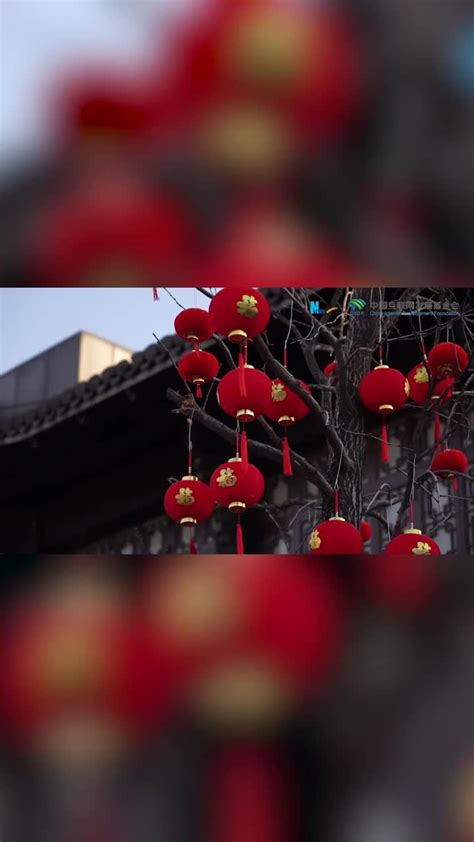 卢旺达小伙感受中国春节氛围：目标是成为“非洲的袁隆平”凤凰网视频凤凰网
