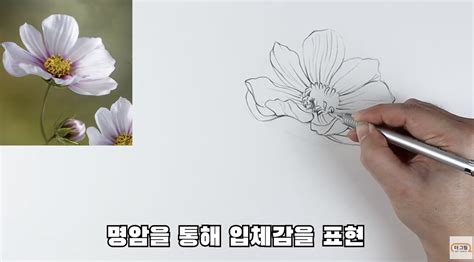 꽃을 쉽고 빠르게 그리는 법 아트데이터