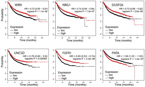 Association Between WRN NRG1 DUSP26 UNC5D FGFR1 And FNTA MRNA
