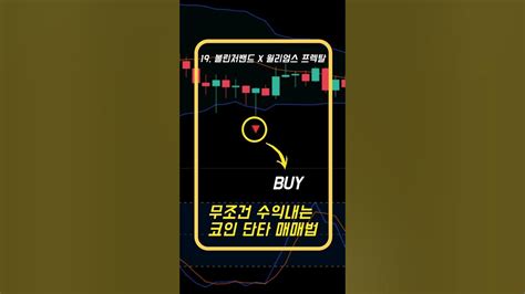 제대로 사용하면 코인 단타 끝장볼 수 있는 윌리엄스 프랙탈 매매법 비트코인선물 코인선물 비트코인선물거래 코인선물단타