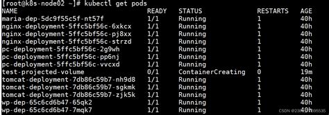 K8s相关知识彻底删除pod Csdn博客