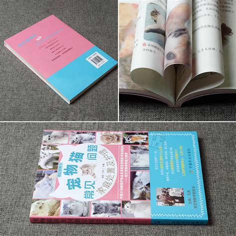 我的宠物书宠物猫常见问题家庭处置及护理猫咪养护入门手册养猫指南书籍猫咪图鉴百科猫繁育书养猫知识读物书 虎窝淘