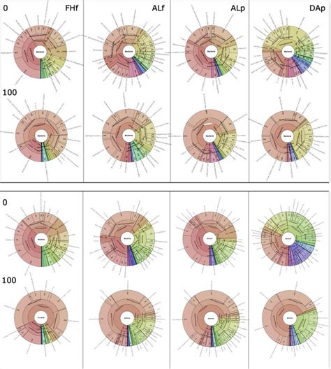 Taxonomic Profile Based On The 16s Rrna Gene Amplicon Sequencing Of The