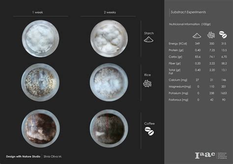 Mycofiltration Growing Material Iaac Blog
