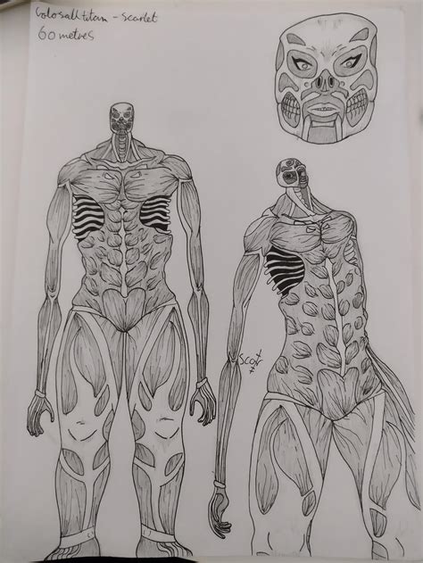 My Oc Colossal Titan Rshingekinokyojin