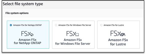 Enabling Multiprotocol Workloads With Amazon Fsx For Netapp Ontap Aws