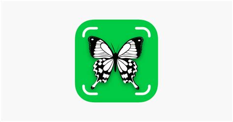 ‎insect Identifier Entomology On The App Store