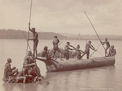 The Most Isolated Tribe In The World The Sentinelese Tribe Is The Last