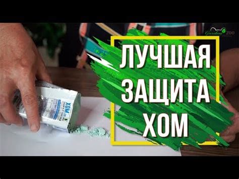 Хом описание и способ применения ️ Борьба с Фитофторой - YouTube