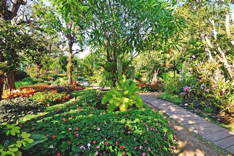 How To Start A Food Forest The Ultimate Low Maintenance Garden