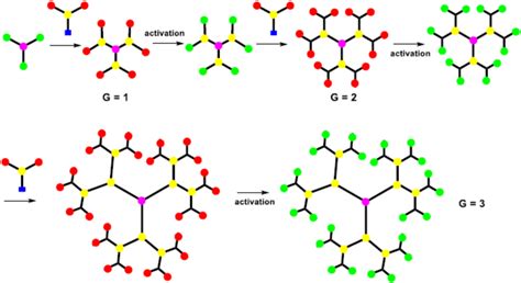 Structure Of Dendrimers In Divergent Approach Method Download