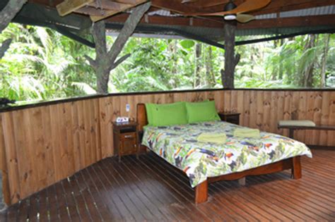 Daintree Jungle Treehouse Hometreehome