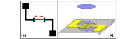 A Microelectrode Design Pattern Used B Customized Cell Culture Chamber