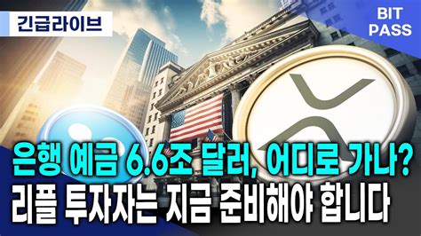 리플 투자자라면 꼭 알아야 할 스테이블코인 분석 왜 모든 돈이 스테이블코인으로 몰릴까 Youtube