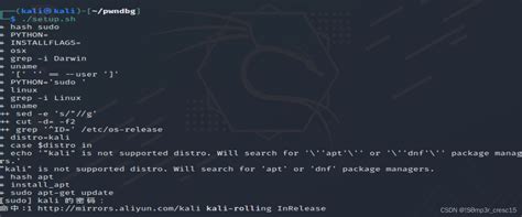 Pwn 二进制漏洞审计 Csdn博客