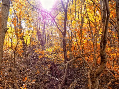 Conference Inference Blogging The World Of Conferences