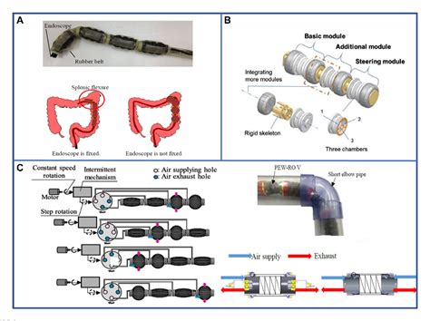 Figure 8 From Actuation And Design Innovations In Earthworm Inspired