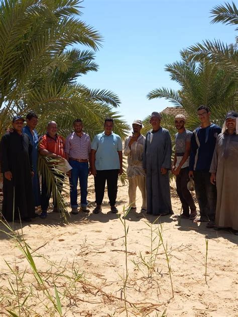 الزراعة تستعرض أنشطة المعمل المركزي للنخيل وفروعه بالمحافظات خلال