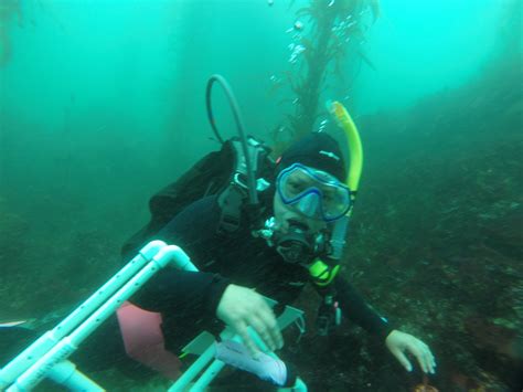 Drowning Underwater Vk