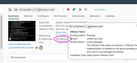 Vcenter Vmwaretools Doesnt Show All Ip Addresses General Questions