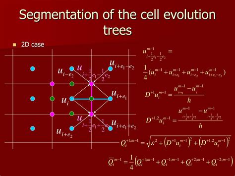 Ppt 4d Numerical Schemes For Cell Image Segmentation And Tracking Powerpoint Presentation Id