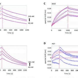 Kinetic Binding Constants Of Various Immobilized Anti Cd Antibody