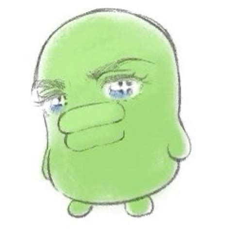 7개의 짤 아이디어 2025 웃긴 밈 웃긴 표지판 기분 사진