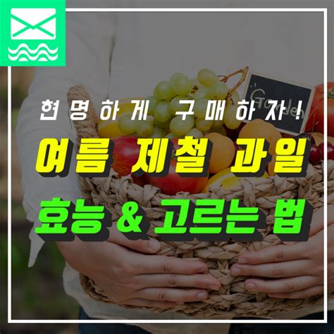 맛있는 과일 고르는 법 복숭아 수박 참외 ‘여름 제철 과일 효능까지 완벽정리 네이버 블로그