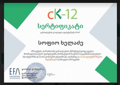 სოფიო ხელაძის პორტფოლიო სერთიფიკატები