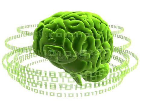 Binary Brain Stock Illustration Illustration Of Cerebral 2869692