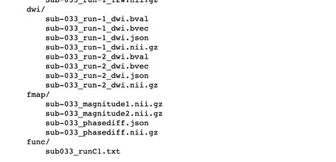 crash file generated and no data in the nibetaseries folder · issue
