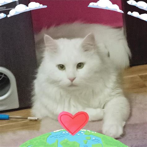 من تأليفى ☺️ أم سلطان