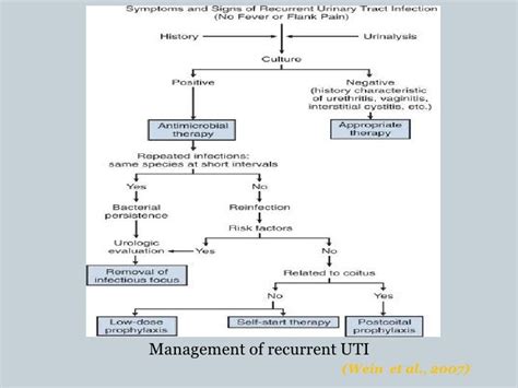 Recurrent Uti In Females