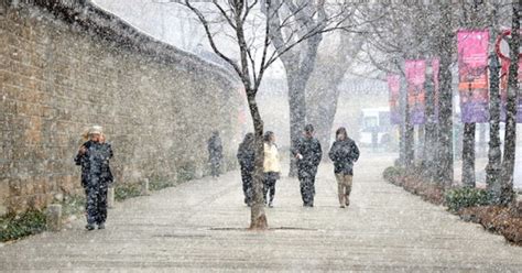 [포토뉴스]눈 내리는 경복궁 길
