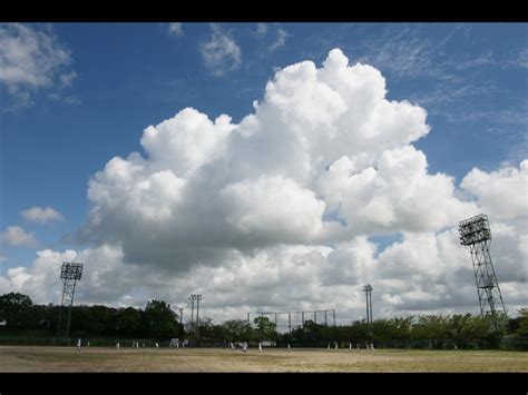 少年野球で大事な「考える力」 Count 23 Blog