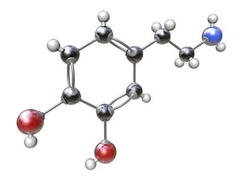 The Main Types Of Chemical Bonds