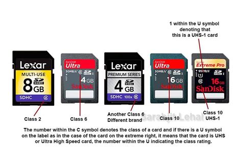 How To Use Sdhc Card At Bobbie Premo Blog