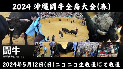 愛知県岡崎市の里山で幻想的なホタルの舞を楽しむHOTARU NIGHT 20246月15日土開催 トラベルスポット